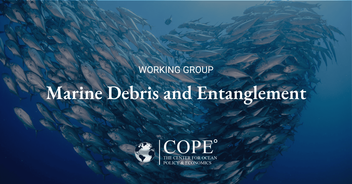 Marine Debris and Entanglement - COPE°